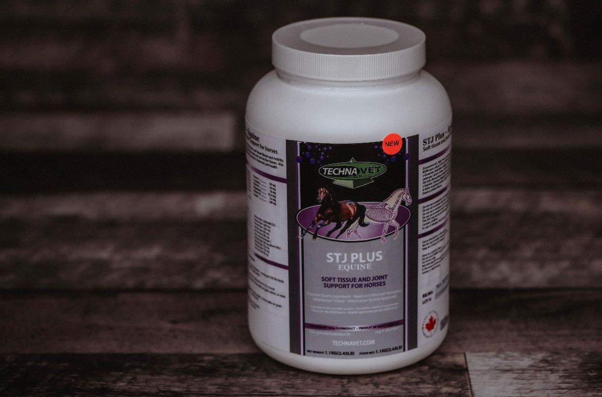 TechnaVet ~ STJ Plus Equine Soft Tissue/Joint Support