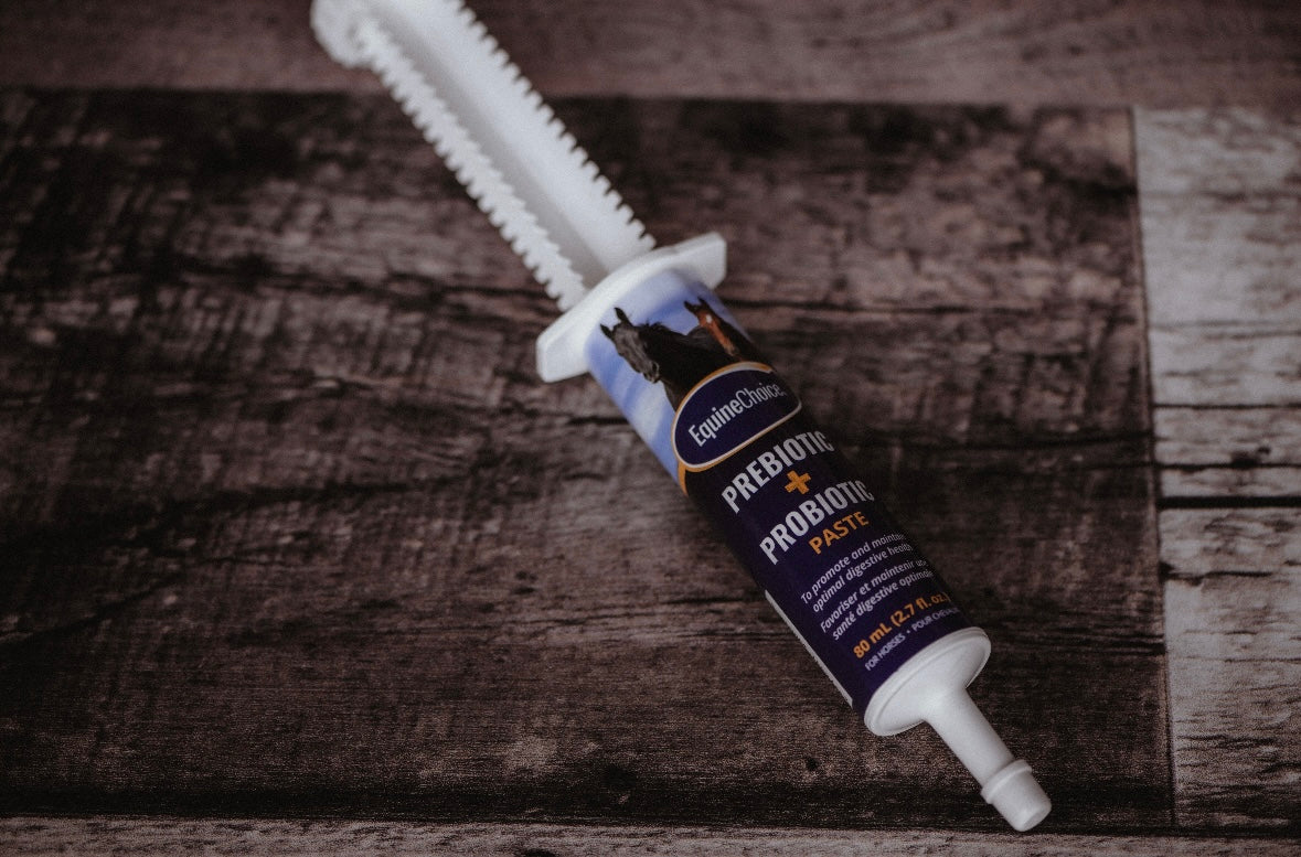 Equine Choice ~ Prebiotic + Probiotic Paste